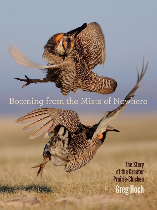 New Book: Booming from the Mists of Nowhere: The Story of the Greater ...