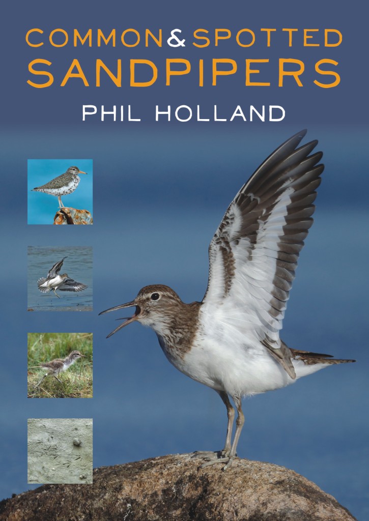New Book: Common & Spotted Sandpipers