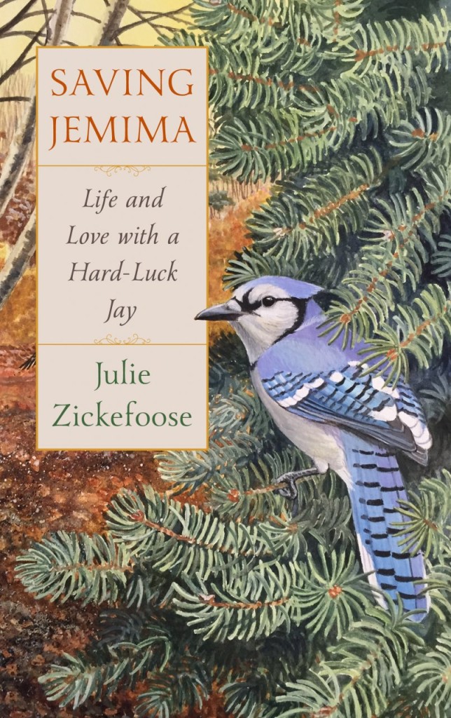 Review: Saving Jemima: Life and Love with a Hard-Luck Jay